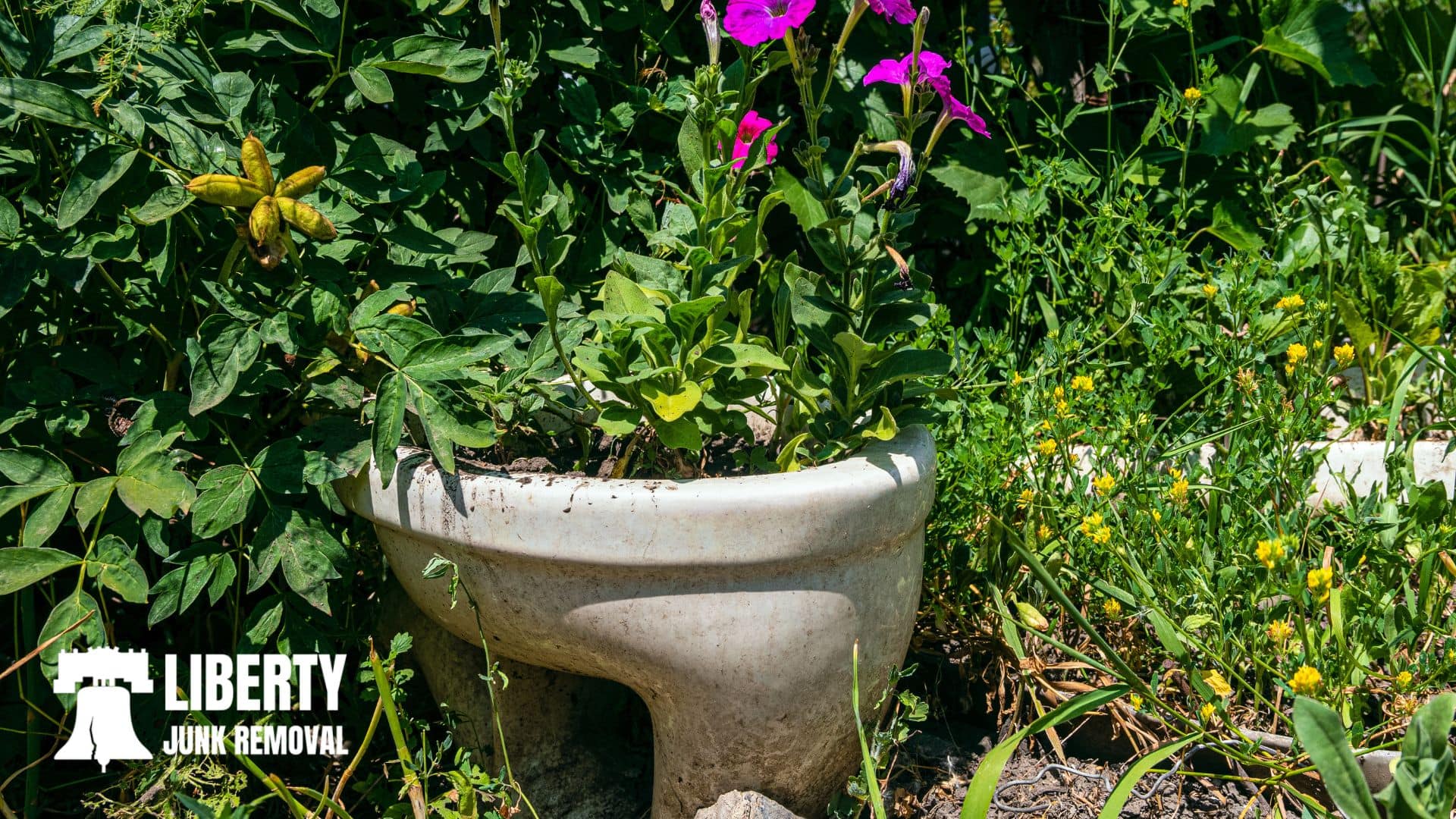 How to Dispose of Toilet: Your Guide - Liberty Junk Removal